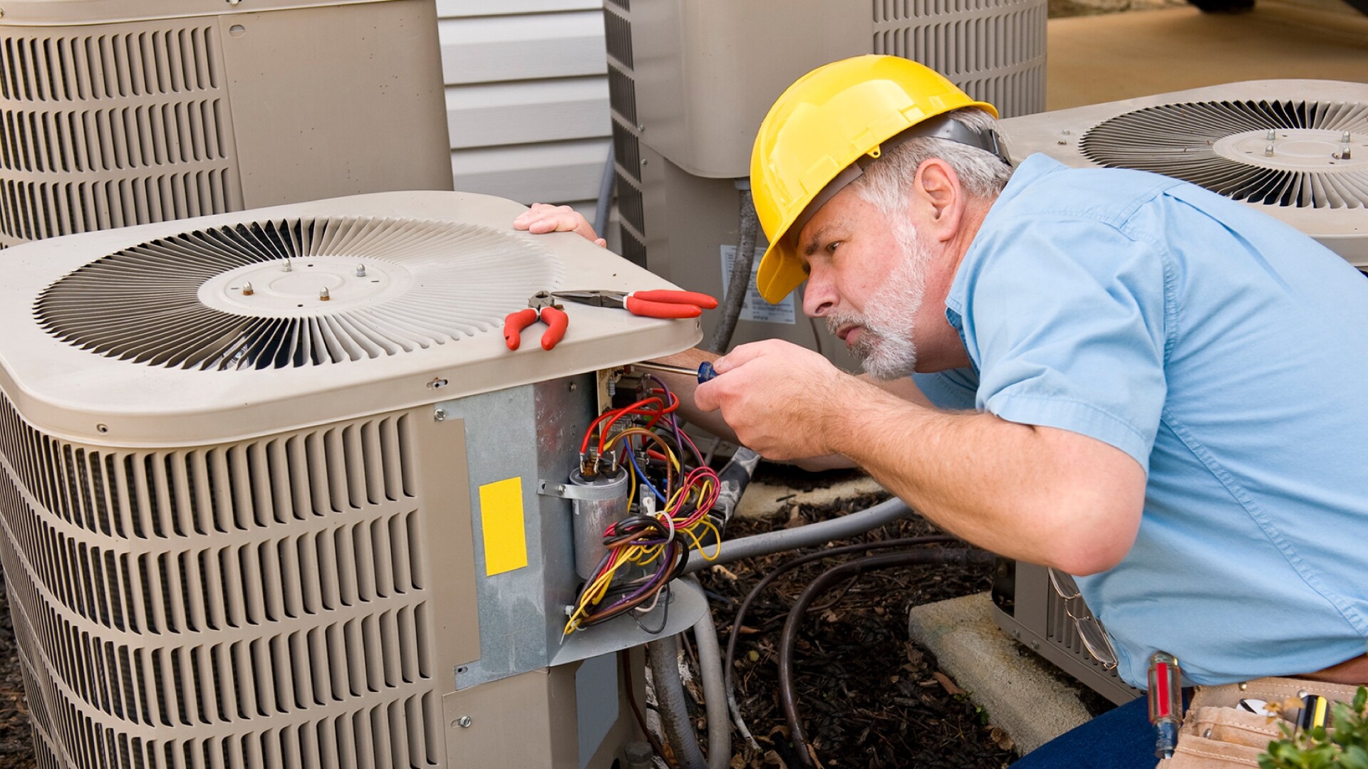 Consumer Products & Services - BlackArch